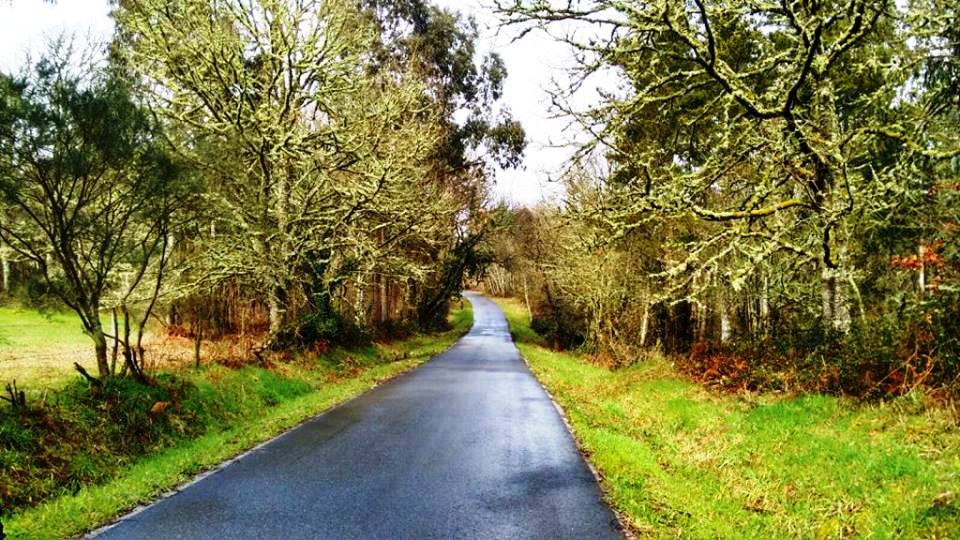 Limiar – Sectores de fogo